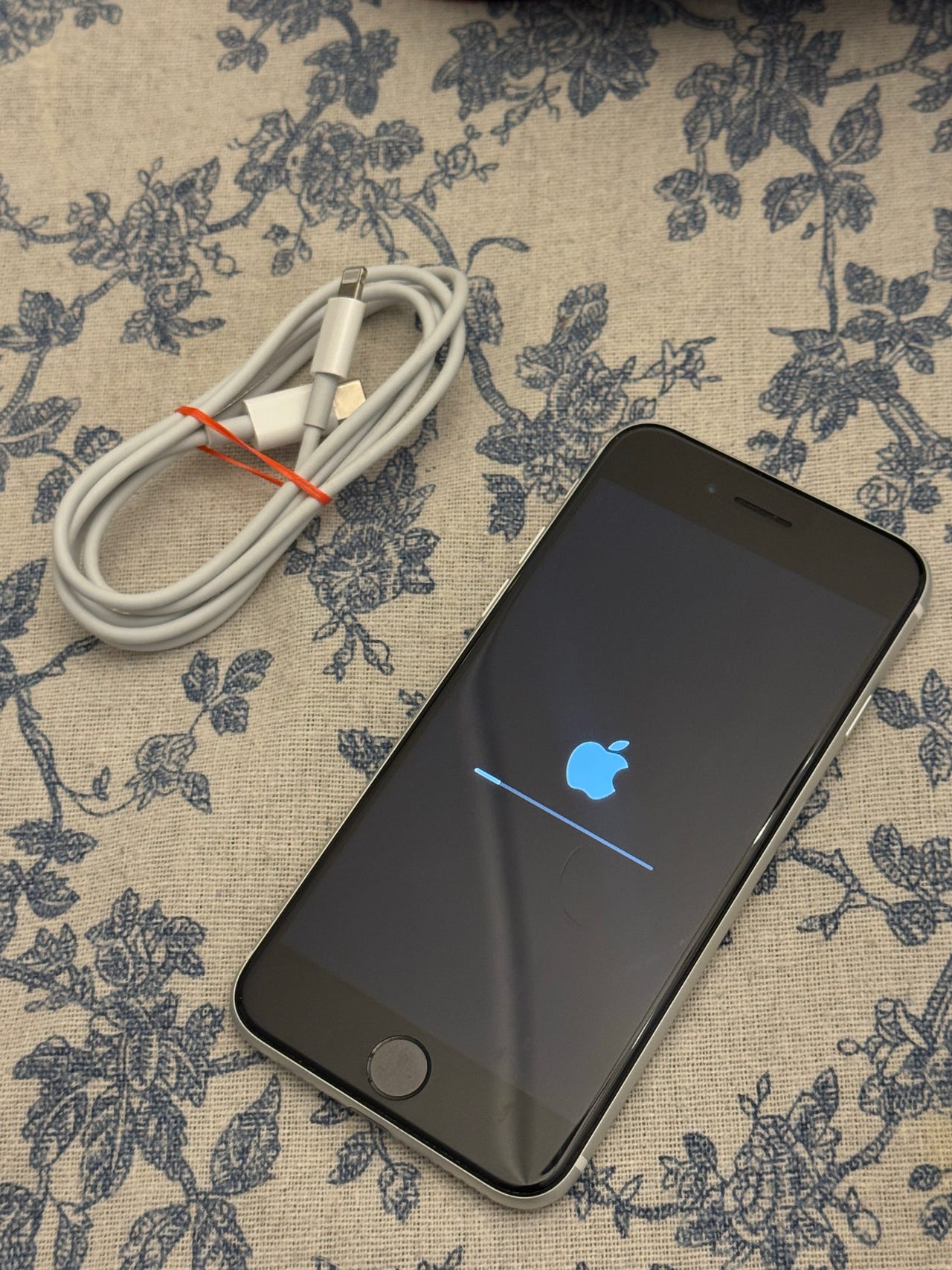 Apple iPhone SE | 2020 | 64gb | 87% | Tori