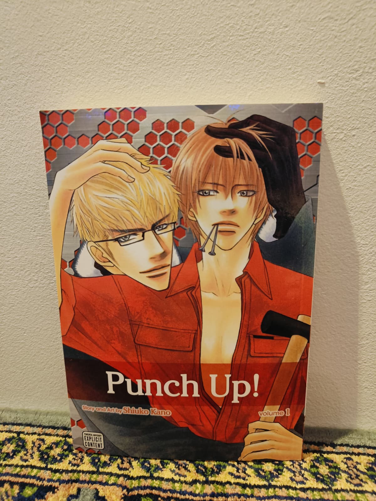 Punch Up! -manga osa 1 | Tori