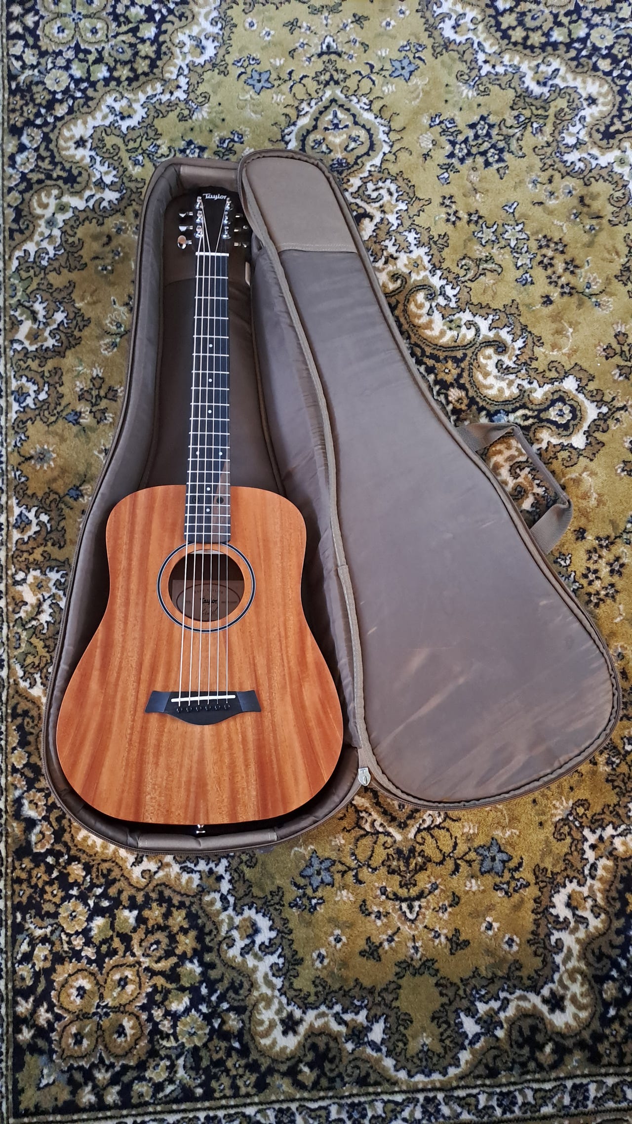 Taylor BT2 Baby Mahogany | Tori