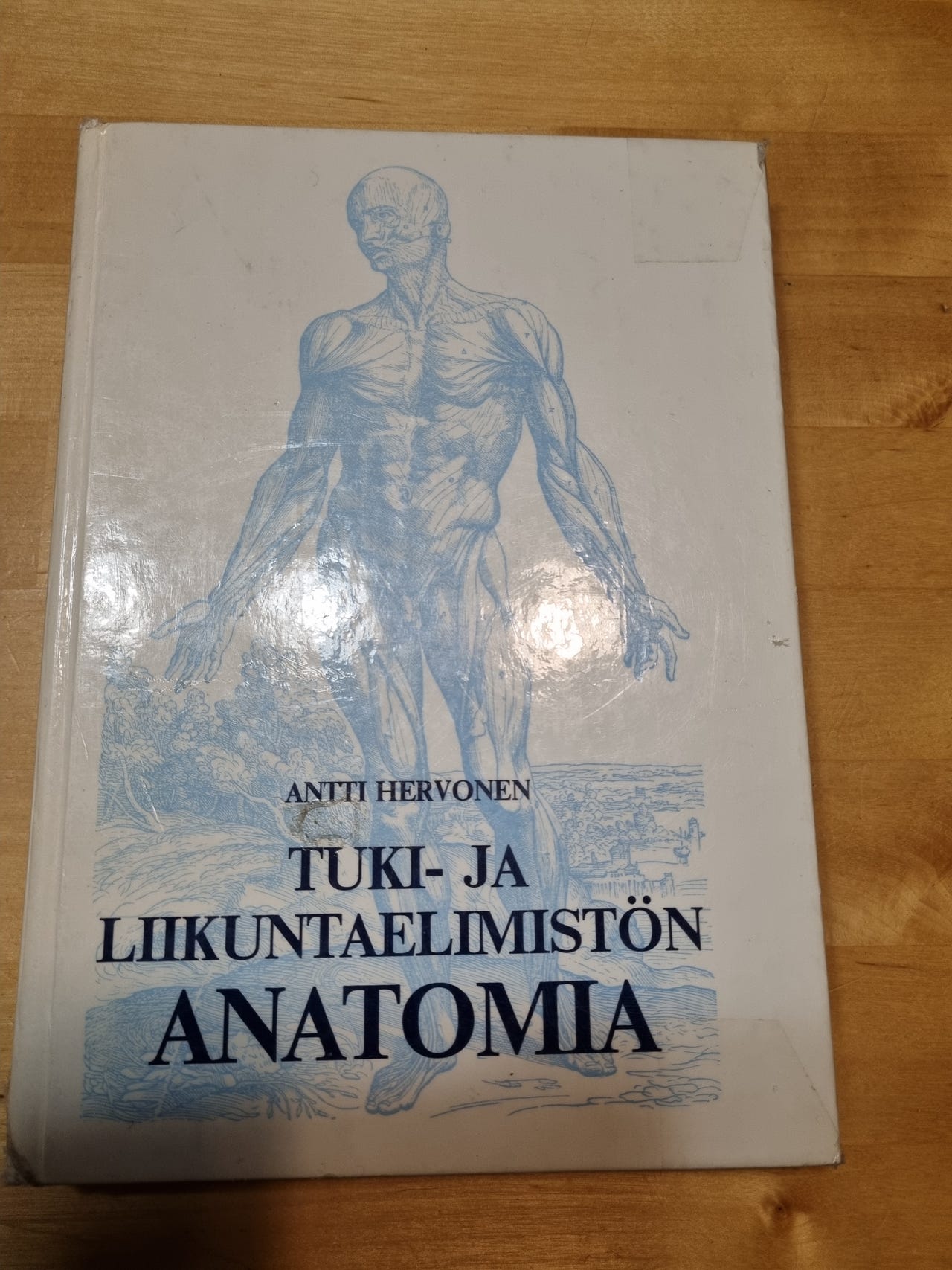 Tuki- ja liikuntaelimistön anatomia Antti Hervonen | Tori