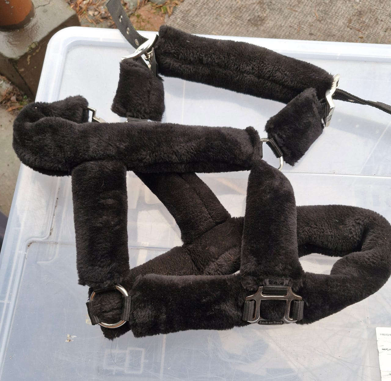 BOT Back on Track karvariimu | Tori