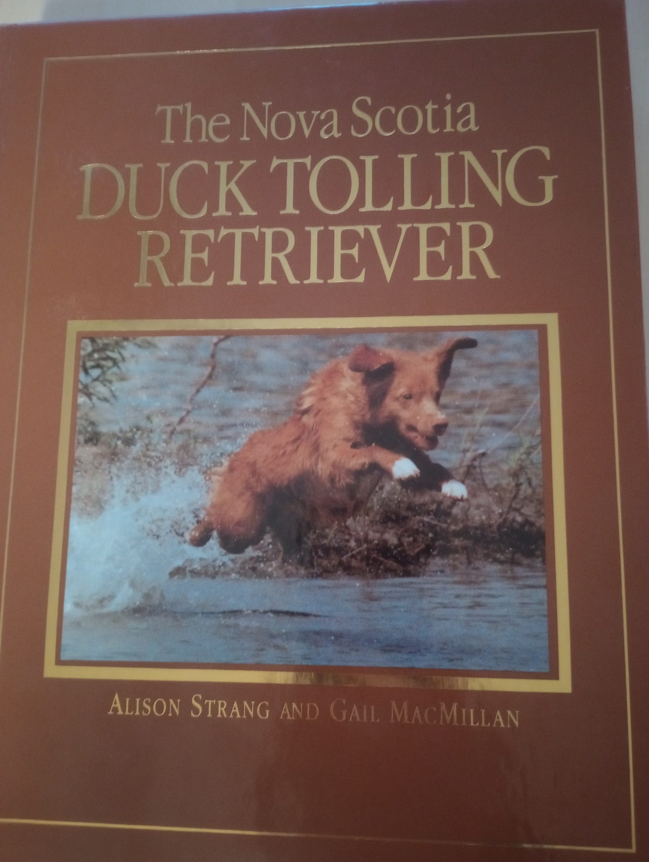 Novascotiannoutaja/tolleri tietokirja | Tori