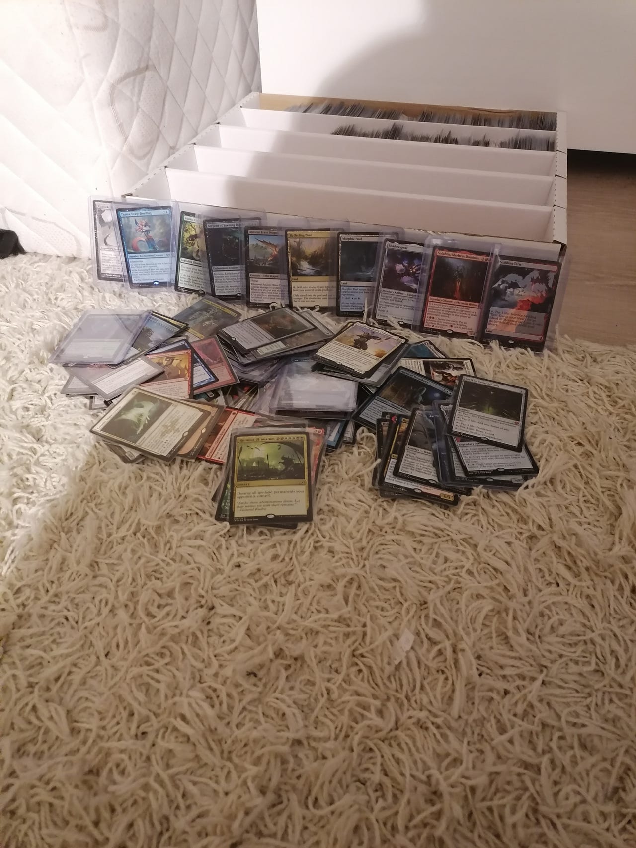 Magic the Gathering kokoelma | Tori