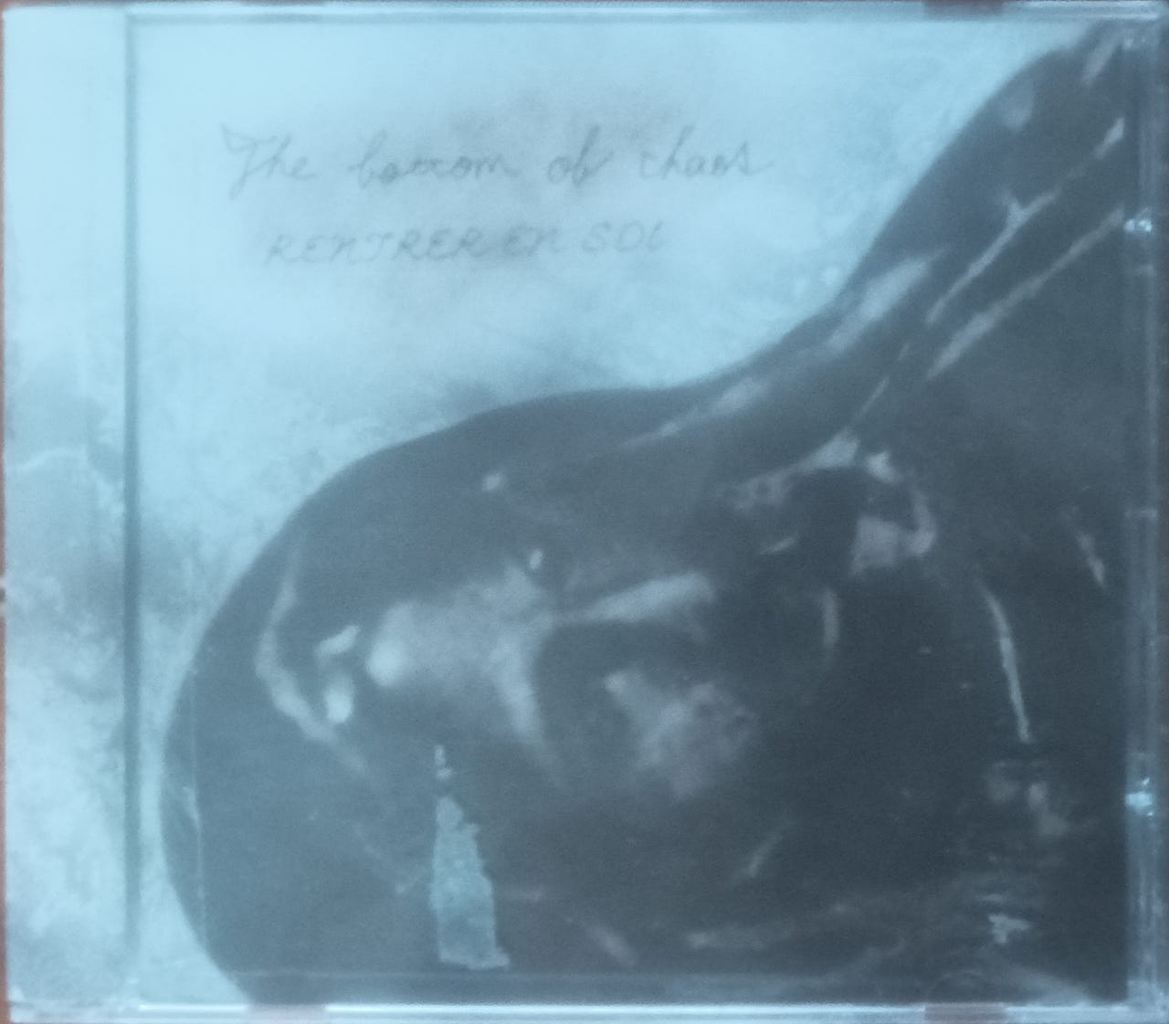 Rentrer En Soi- The Bottom Of Chaos Cd | Tori