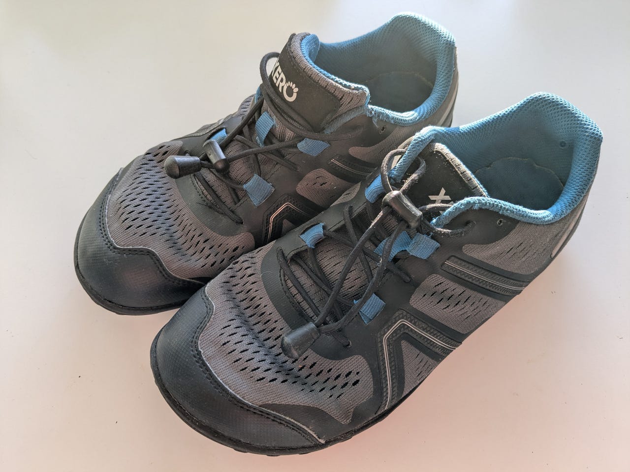 Xero Mesa Trail 40.5 | Tori