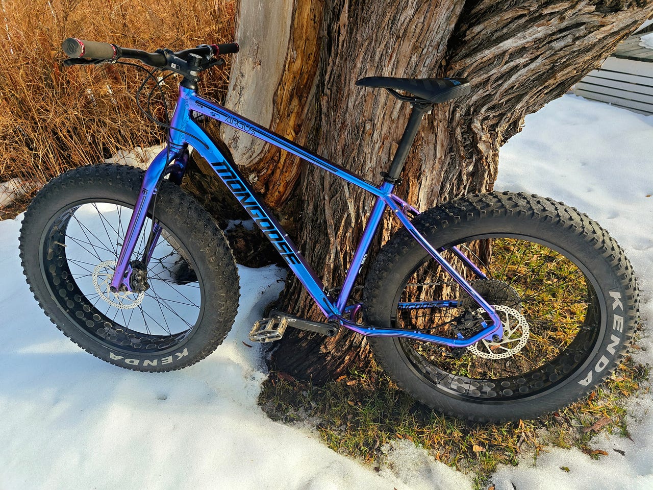Mongoose Argus Comp fatbike L | Tori