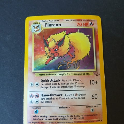 Acerola ja Eevee GX | Tori