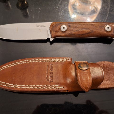 Bestech Lizard | Tori