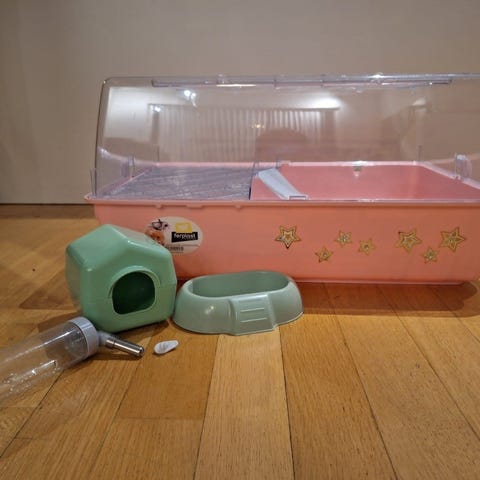 Duna Fun Large | Tori