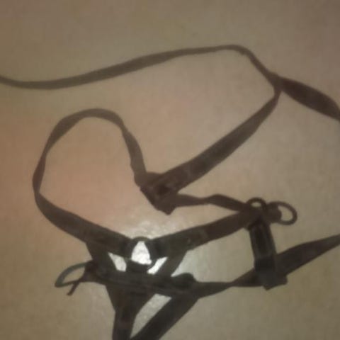 Hevosen kenkiä ja hokit | Tori