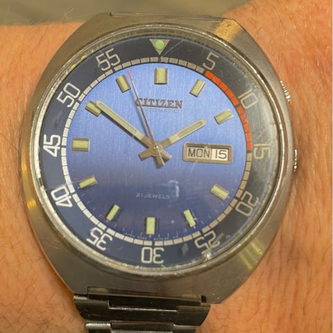 Citizen 67-9011 Bullhead Panda | Tori