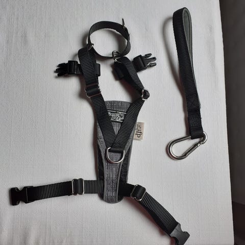 All For Paws Travel Dog autovaljas koiralle | Tori