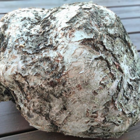 Raidan juuripahka kaulakoru puolikaarilla ja helmi, 2 kpl | Tori