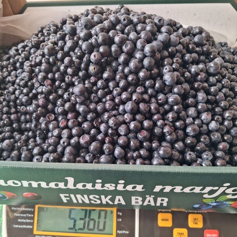 Mustikat Tuore Marjat 5 kg | Tori