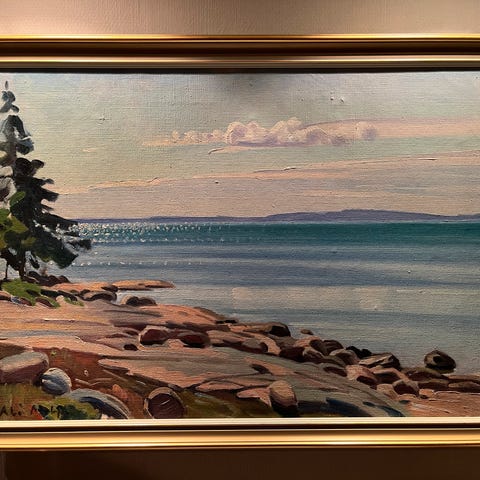 Ali Munsterhjelmin upea öljyvärimaalaus | Tori