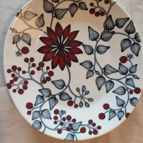 Arabia Runo lautaset | Tori