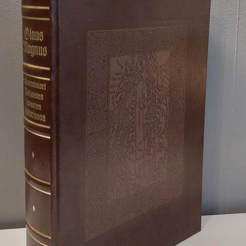 Muinaisjäännöksiä Suomen suvun asumus-aloilta | Tori