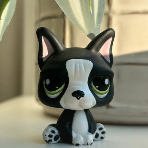 Lps koira #1896 | Tori