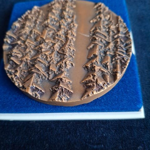 Pronssinen mitali | Tori