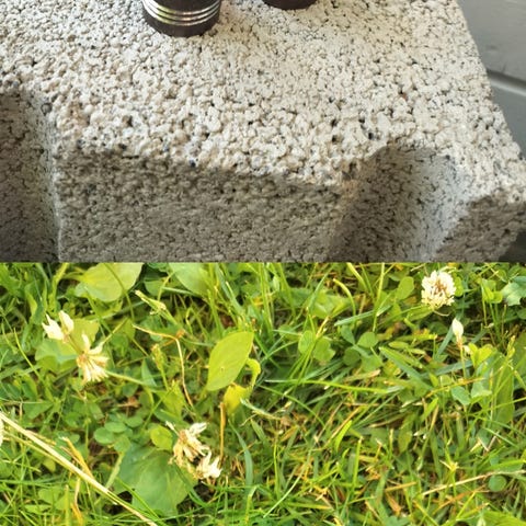 Mankin lokarit | Tori