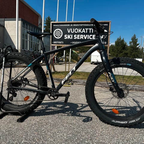 Felt Fatbike DD30 | Tori