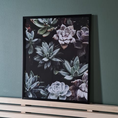 Apina juliste | Tori