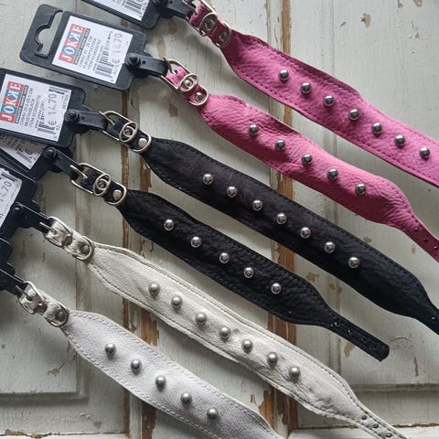 Dog family lehti japanese 2002/12 + bandadahuivi new | Tori