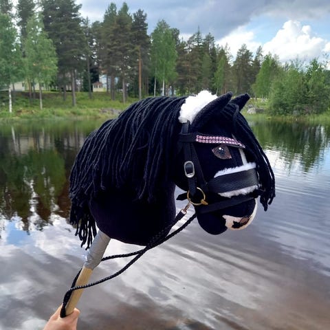 Keppari/Keppihevonen | Tori