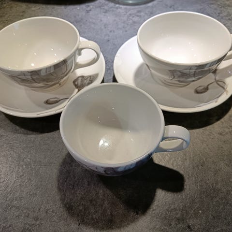 Pentik eden kahvikupit 4 kpl + tassit | Tori