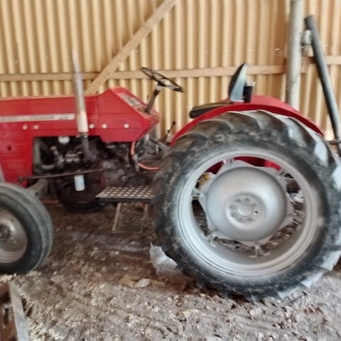 Massey Ferguson 135 multipower | Tori