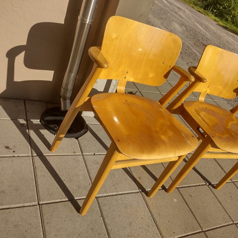 Domus hunajapetsattu tuoli | Tori