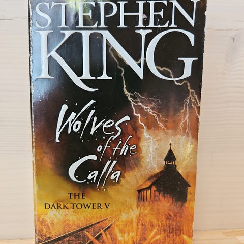 Stephen King - Callan sudet | Tori