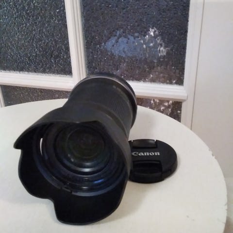 Canon rf 50mm f1.8 stm | Tori