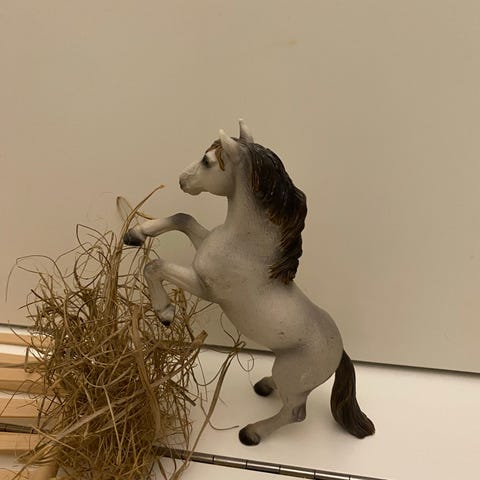 Schleich musta ori | Tori
