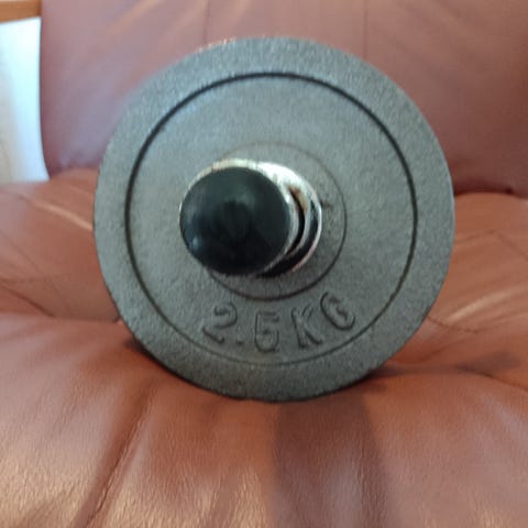 Käsipainot 1,5 kg | Tori