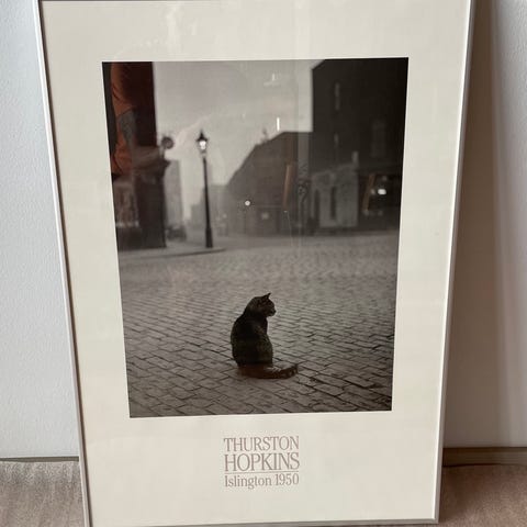 ”Taksidermisti” Charles Waterton, n. 1900 | Tori