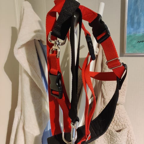 All For Paws Travel Dog autovaljas koiralle | Tori