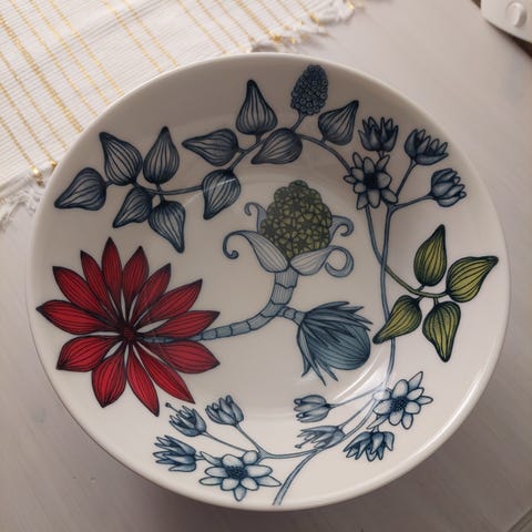 Arabia Runo lautaset | Tori