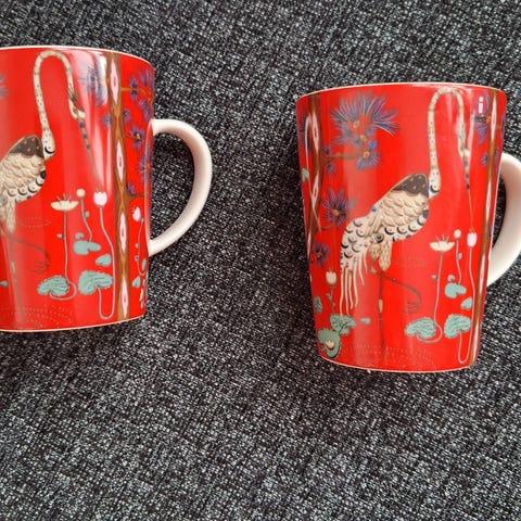 Iittala Taika 15v juhlamuki | Tori