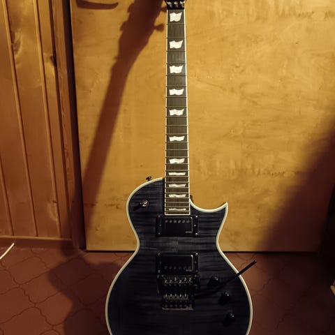 LTD Viper 1000 Deluxe | Tori