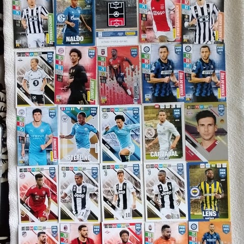 FIFA 365 2026 | Tori