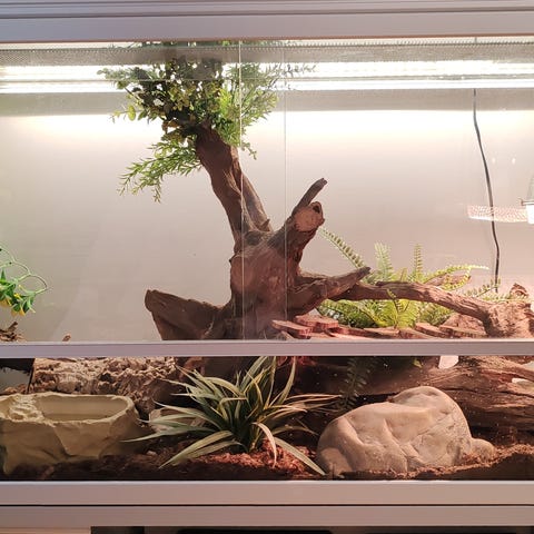 Parta agama ja tarvikkeet | Tori