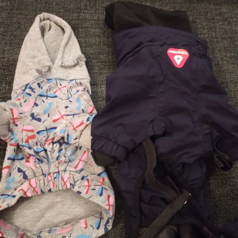 Dog family lehti japanese 2002/12 + bandadahuivi new | Tori