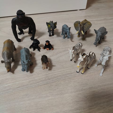 Animal Jam-Adopt a pet | Tori