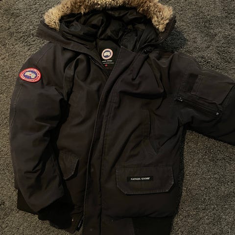Canada goose Chilliwack | Tori