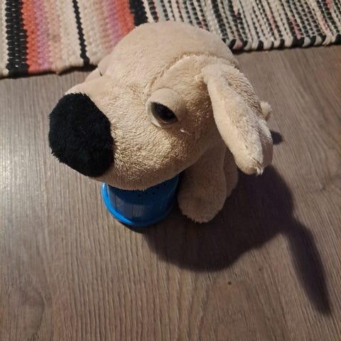 Koira pehmolelu (Dalmatialainen) | Tori