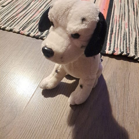 Koira pehmolelu (Dalmatialainen) | Tori