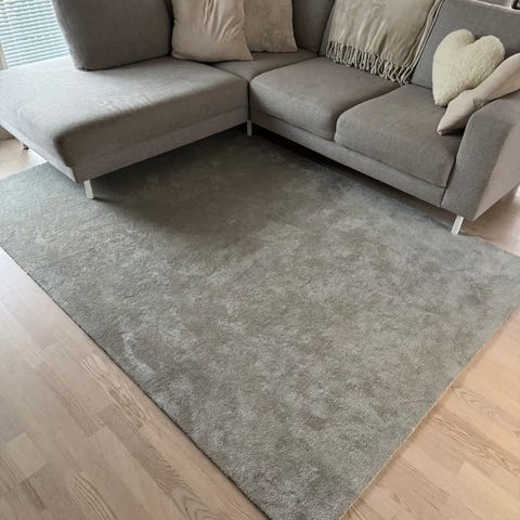 VM Carpetin Hattara matto | Tori