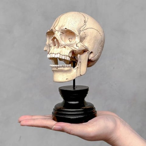 Kaiverrus, Stunning Wooden Human Skull With A Beautiful Grain - 18 cm ...