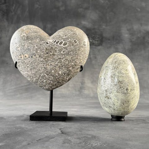 Koriste-esine (2) - Wonderful Pair of Shell Ball & Turritella Egg shape ...